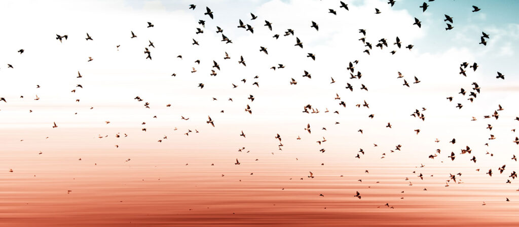 Community Restorative Centre (CRC)